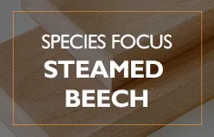 Steamed Beech Commonly asked questions about