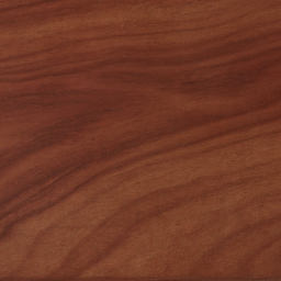 Red Tulip Oak Wood | Tarrietia Argyrodendron