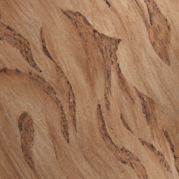 Sen Wood | Sen Timber | Acanthopanax Ricinofolius