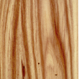 Serrette Wood | Byrsonima Coriacea