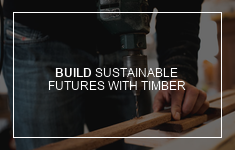 UK's Timber in Construction Roadmap 2025: Sustainable Building Future